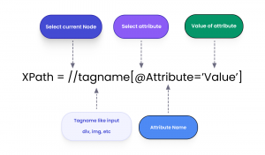 XPath in Selenium: Syntax, Types, and Examples Explained